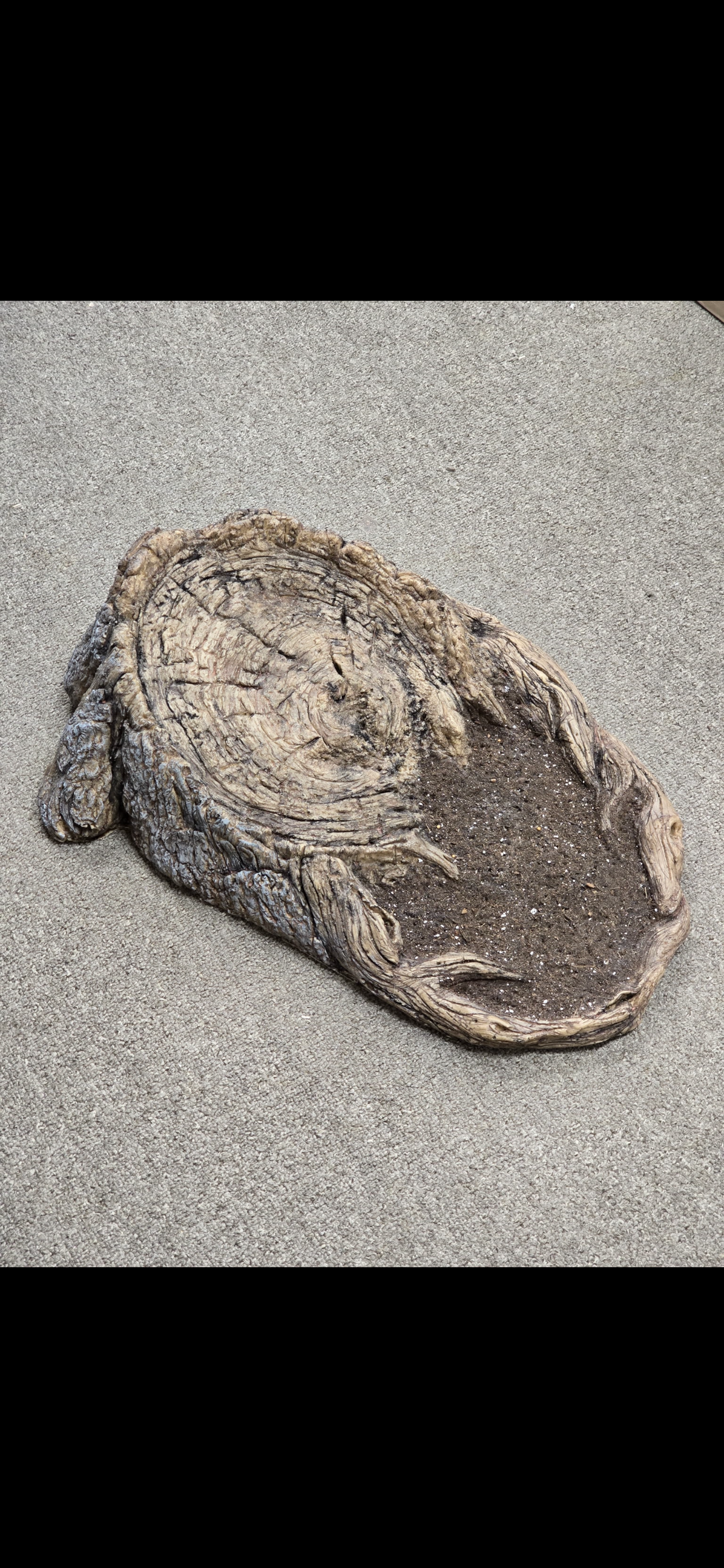 Turkey Stump – Pinnacle Driftwood Taxidermy Supplies
