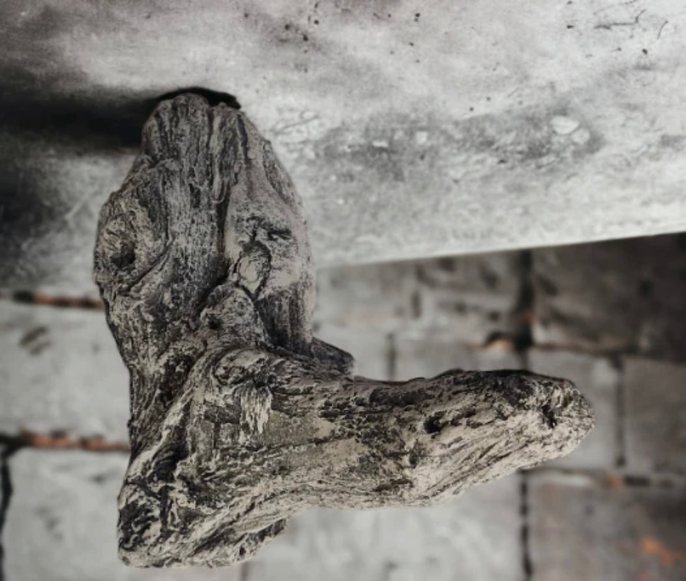 Duck Branch – Pinnacle Driftwood Taxidermy Supplies