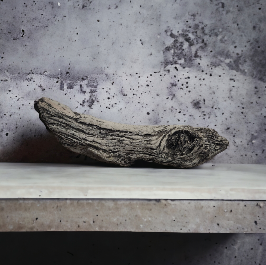Driftwood #05 – Pinnacle Driftwood Taxidermy Supplies